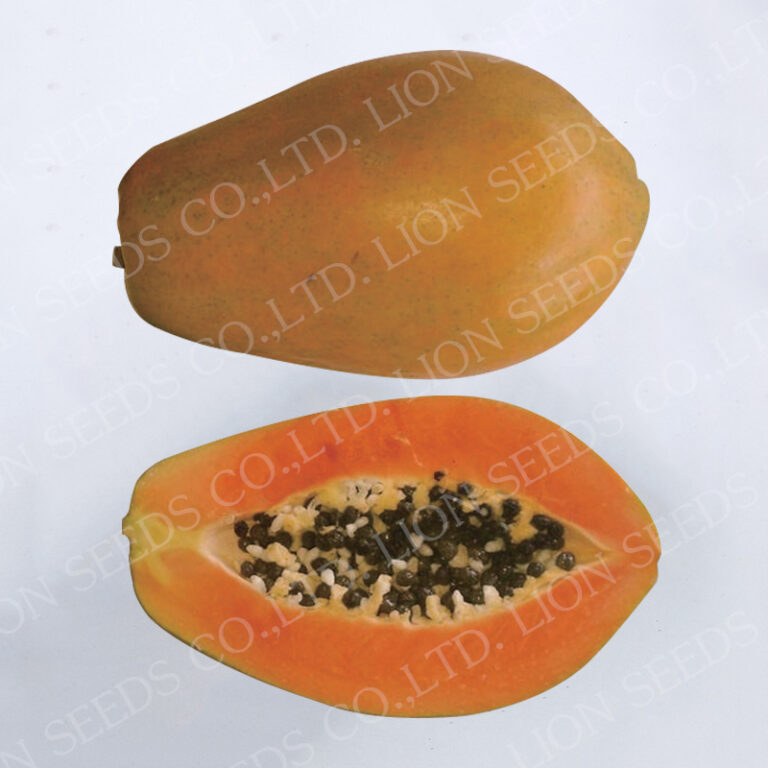 Papaya – LION SEEDS (INTERNATIONAL) CO., LTD.