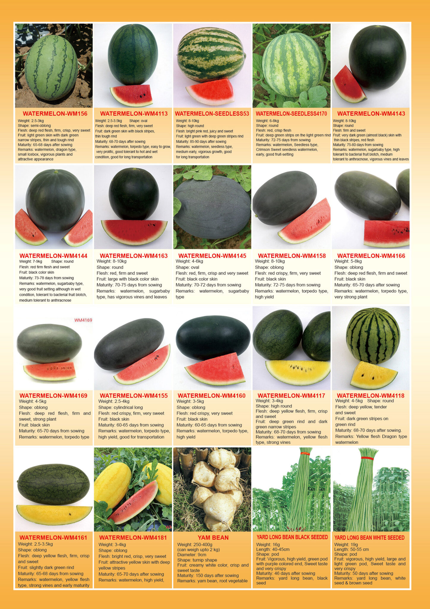 catalog1 – LION SEEDS CO., LTD.